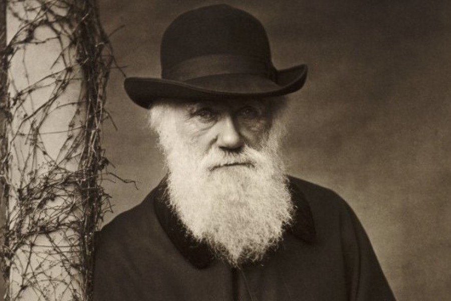 18 цікавих фактів про Чарльза Дарвіна ᐈ faktypro.com.ua